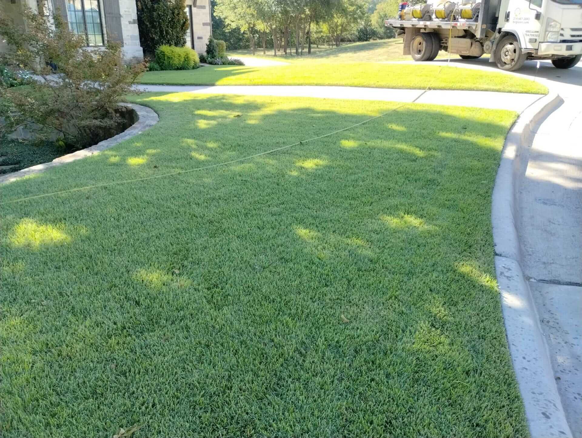 BR Green - Organic Lawn Fertilization, Weed Control, Expert Care